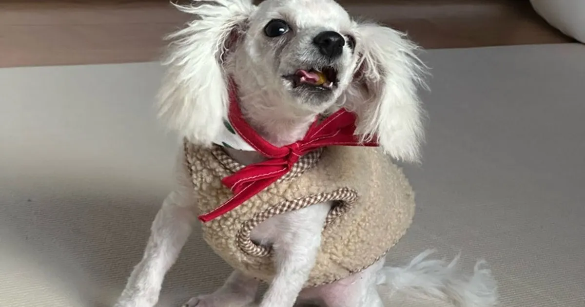 엄청 친절하게 잘 알려주세요 평소 몰랐거나 궁금했던 사항에 대해서도 꼼꼼하게 교육해주십니다 숨고 숨은고수