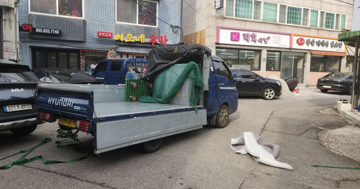 답장도 빠르시고 친절하게 상담해주십니다 가격도 합리적이여서 좋았어요 숨고 숨은고수