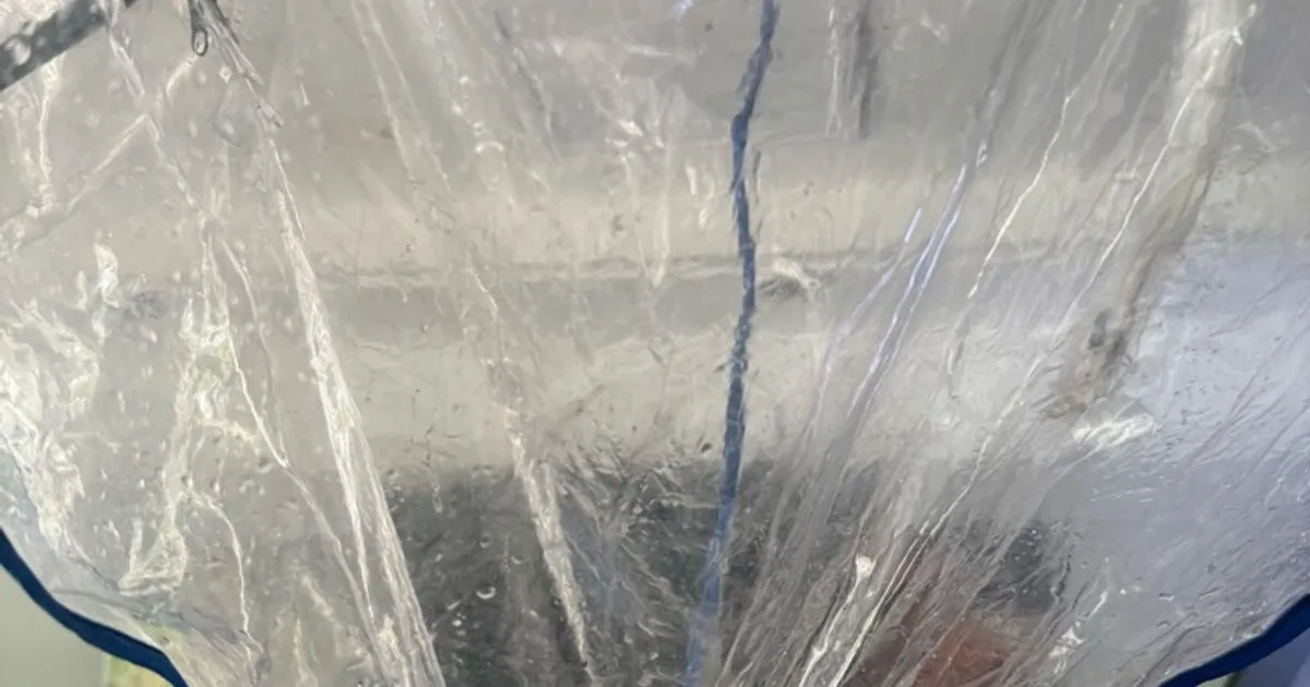 답장도 빠르고 가격도 합리적이고 만족합니다 옆가게에 주차하셔서 다툼생긴건 살짝 그렇긴한데 다른 서비스가 좋았어요 숨고 숨은고수