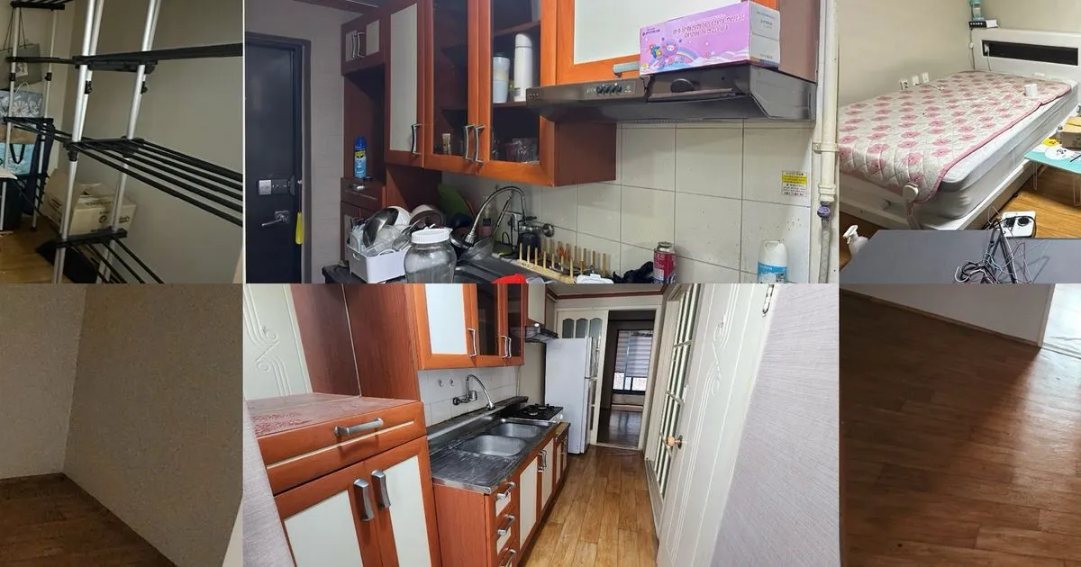 친절한 상담도 좋았지만 타업체들보다 저렴한 금액과 추가금이 없어서 특히 좋았습니다 투룸이라견적사진보다 물건이 많았으나 빠르고