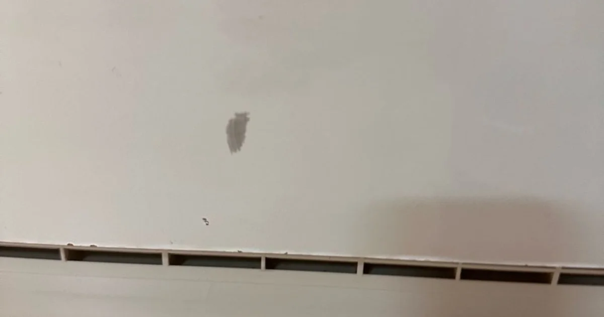 한분이 오셔서 깨끗하게 해주셨어요 진행현황을 수시로 공유해주셨어요 숨고 숨은고수