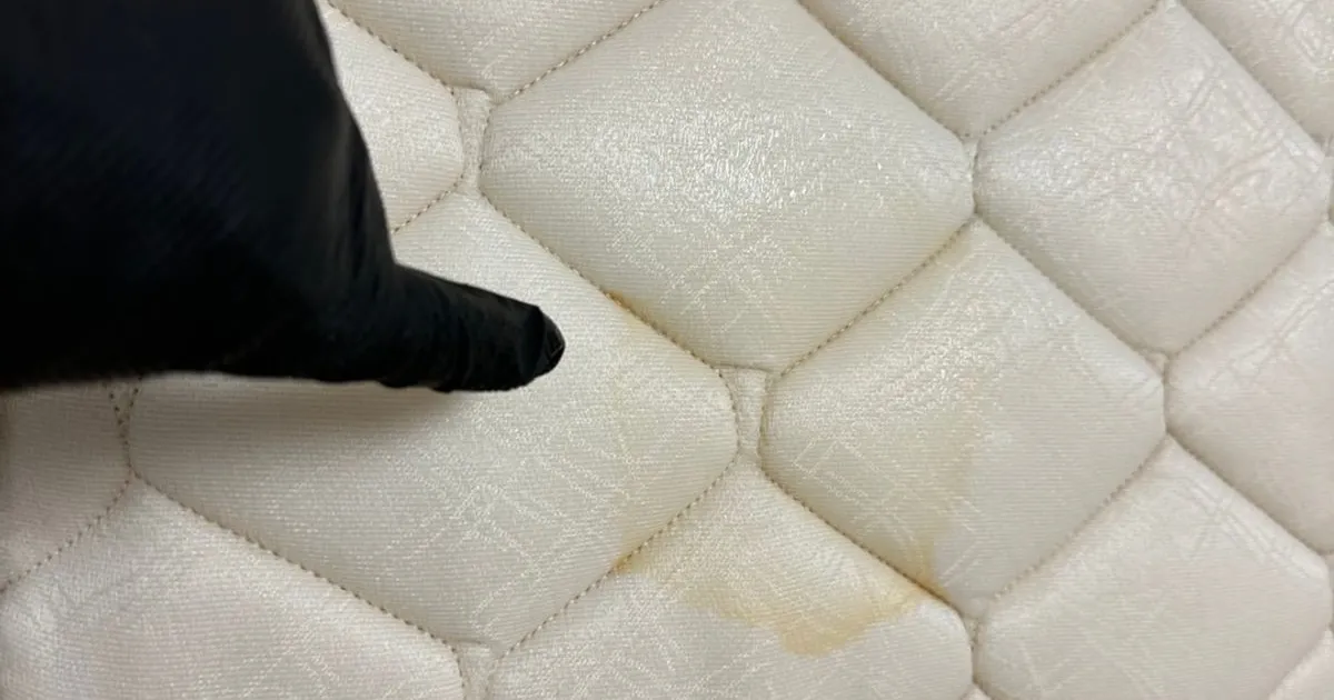 침대부터 프레임 바닥까지 전부 꼼꼼하고 완벽하게 작업 해주셨고 다른업체 비교해봤을때 가격도 확실히 합리적이었습니다 너무 만족해요👍 감사합니다💙 숨고 숨은고수