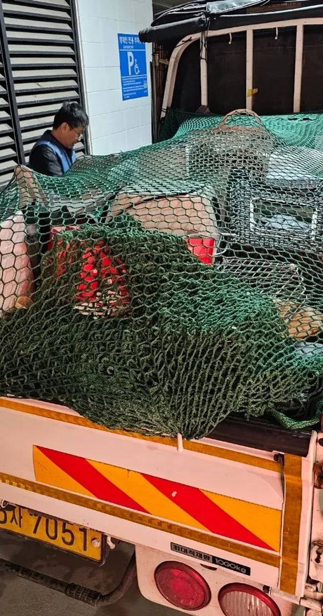이사날 눈소식이 예정되어 있다고 조금 일찍부터 오셔서 이사 도와주셨습니다 알아서 척척 옮겨주셔서 제가 할일이 많이 없을 정도로