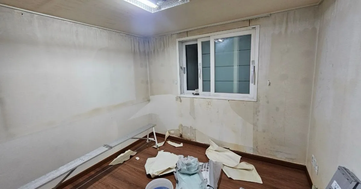 꼼꼼하고 깔끔하게 작업해주셔서 너무 좋습니다👍 숨고 숨은고수