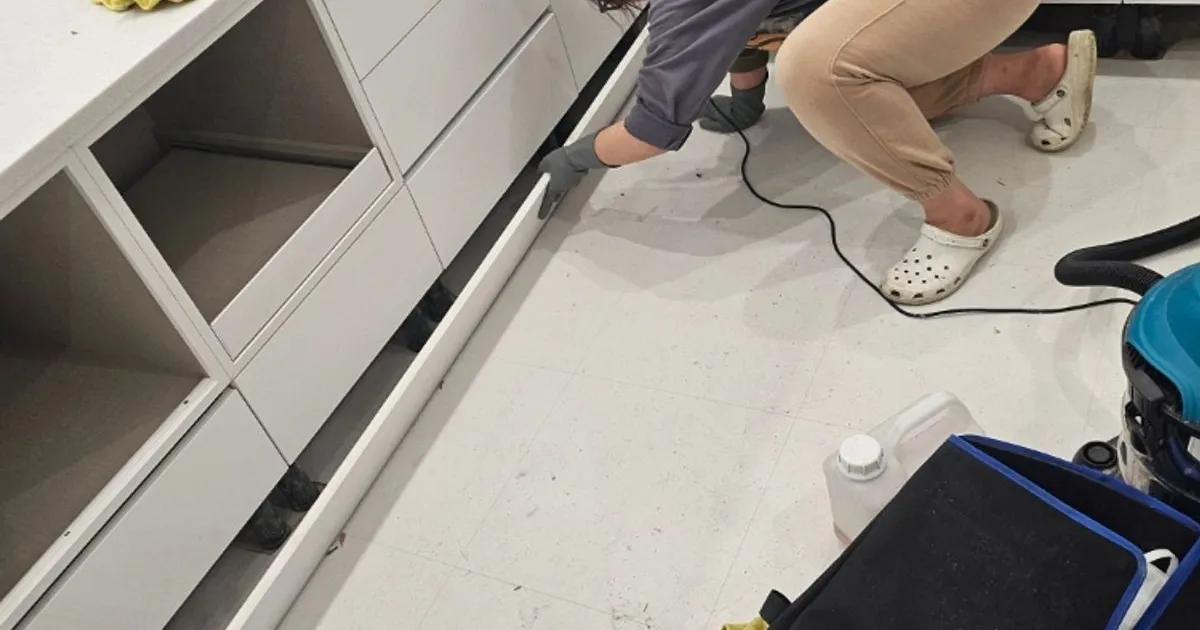 오래된 빌라샷시에 창문 뽁뽁이 자국이 심했는데 꼼꼼하게 묵은때며 뽁뽁이 자국 너무 깨끗하게 잘 해주셨어요 청소도 꼼꼼하게 잘해
