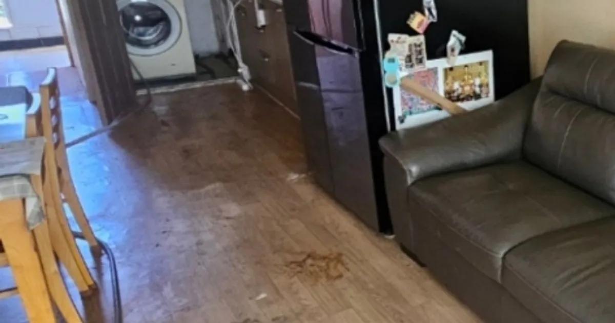 급하게 당일 늦은저녁에 요청드렸고 집정리 쓰레기 폐기물처리까지 해주셔서 감사합니다~저녁 10시 넘어서 가셨네요ㅠㅡㅠ