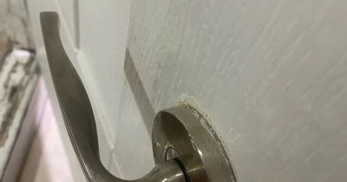 문고리가 안빠져서 고생이었는데 ㅠㅠ 답변도 엄청 빠르시고 속전속결로 해결해주셨습니다 엄청 친절하시고 신경많이 써주셨어요