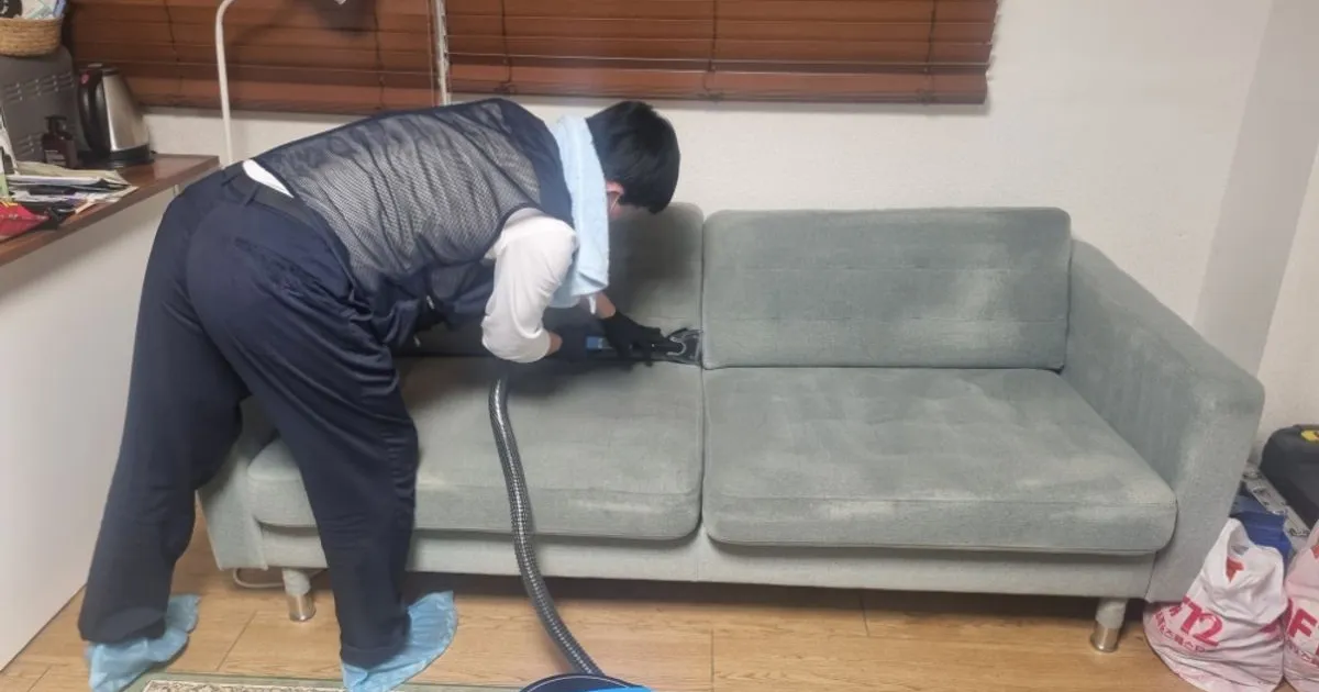 육각수나 아로마 등 값비싼 세제들 아낌없이 사용해주시고 꼼꼼하게 설명 및 케어해주셔서 너무 만족합니다 비용도 너무 저렴하고