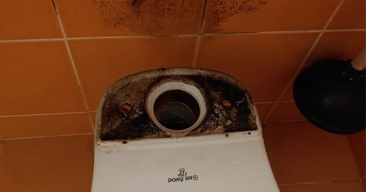 일단 너~무 친절하시구요 작업 시작전에 견적부터 작업과정까지 너무 꼼꼼히 설명해 주셨어요~작업 속도도 적당하고 마무리 청소까지