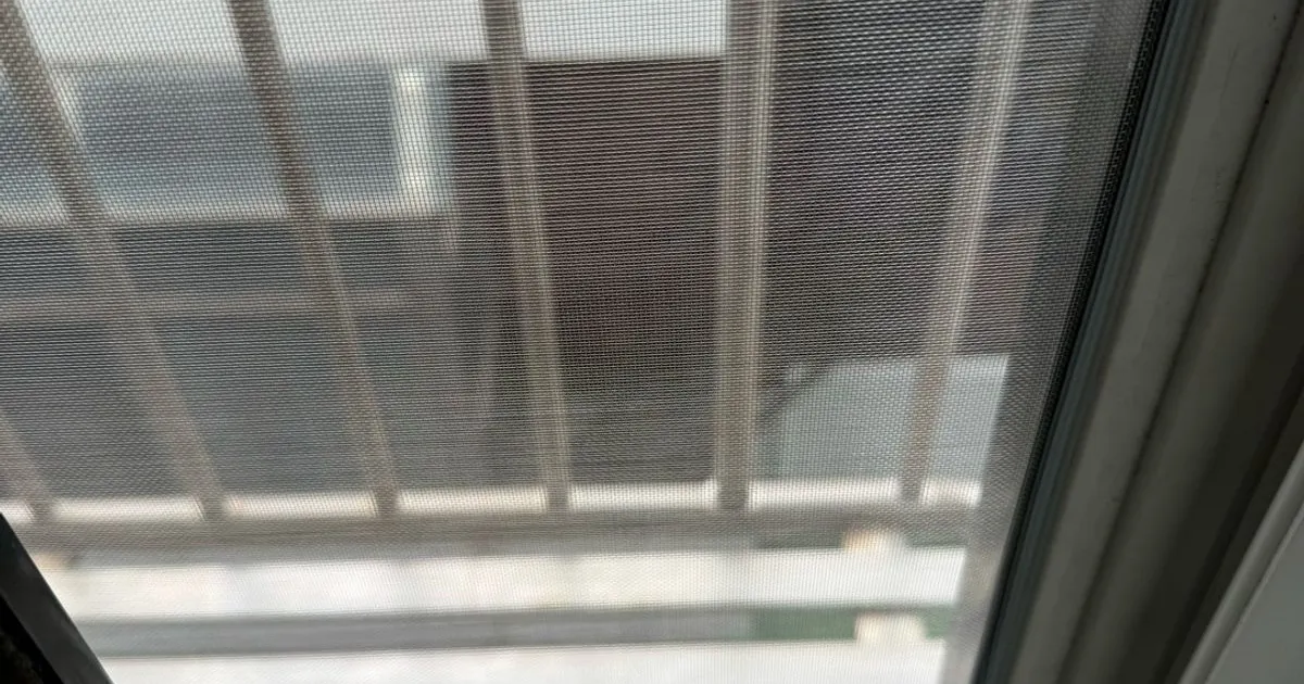상담도 친절하셨고 결과도 좋습니다 약속시간 잘지켜주시고 작업시간도 빨랐어요~ 이것저것 잘 알려주셔서 감사드려요 숨고 숨은고수