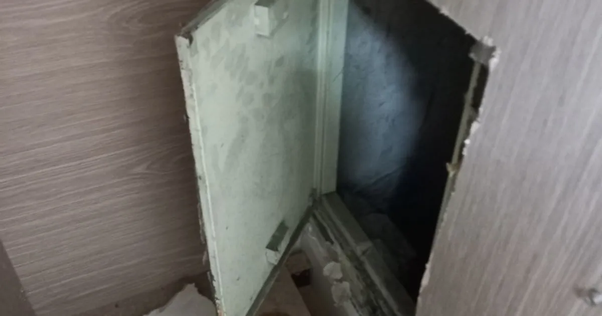 원하는 시간대에 원하는 작업 상세히 꼼꼼하게 잘해주셔서 감사드립니다 숨고 숨은고수