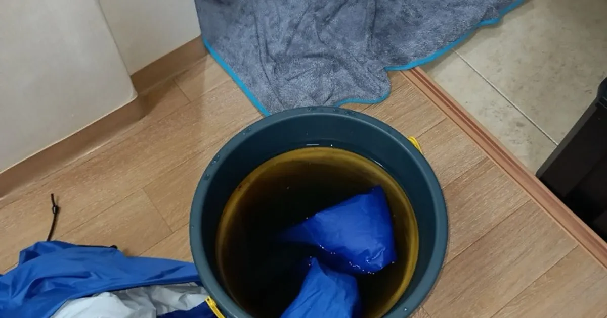 친절하시고 꼼꼼하고 세심하게 잘 해주십니다 다실 맡길 의향 1000고 설명도 차분하게 잘 해주셨어요 제가 주소를 잘 못