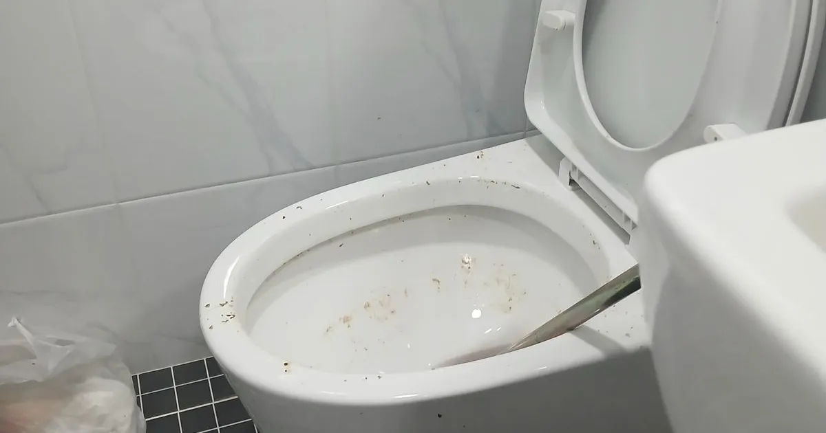 합리적금액으로 꼼꼼히 작업해주셨어요 이후 관리법도 잘 설명해주셨고 만족합니다 강력추천합니다 변기도 잘뚫었고 막힌 배수구도