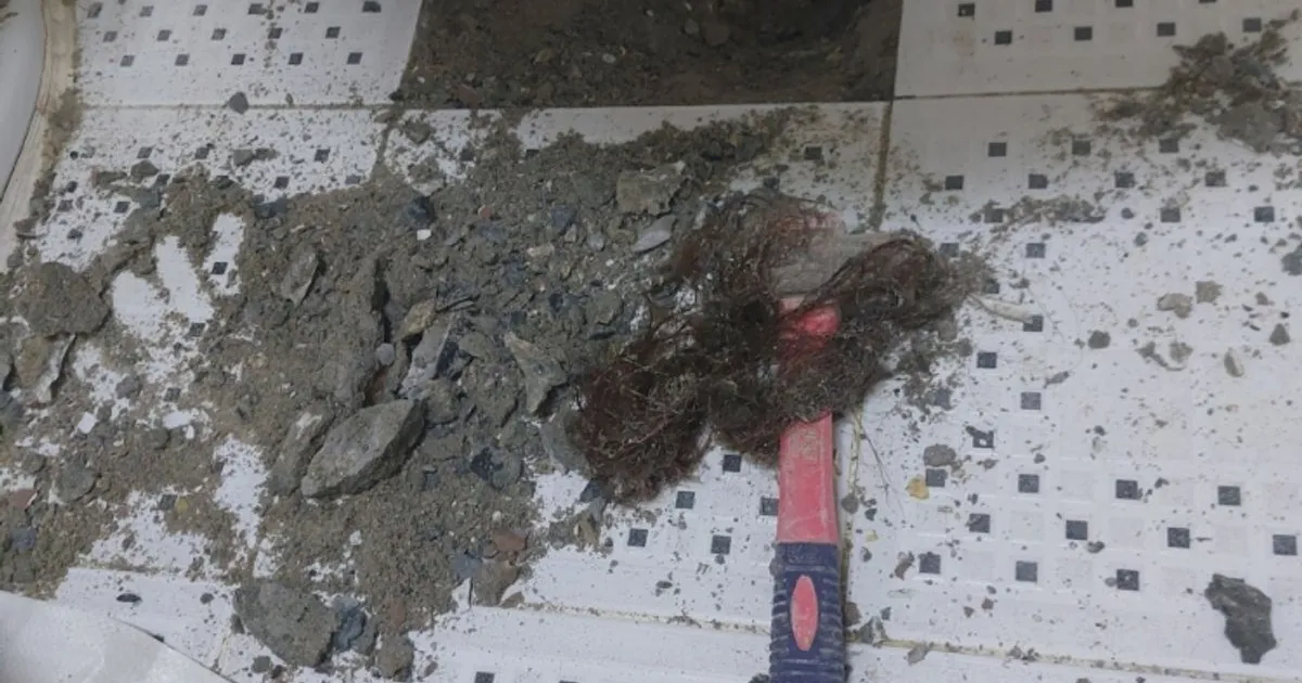 화장실 누수 문제로 의뢰했는데 상담도 친절하게 해주시고 작업도 합리적으로 필요한 부분만 해주셔서 만족했습니다 숨고 숨은고수