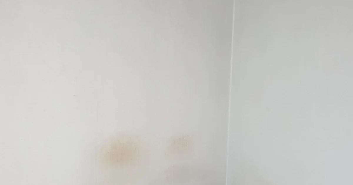 오래된 아파트 부분도배였는데 추가로 요청드린 부분까지 포함해서 비용도 합리적으로 해주시고 제가 현장에 못갔는데 사진으로도 전달 잘해주셔서 편하게 진행했어요 이사 전이라