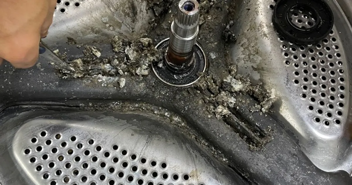 시간도 잘지키시고 가격이 다른곳에비해 합리적입니다 더군다나 엄청세심하게 잘 해주시고 원인발생이나 차후 어떻게관리해야하는지까지