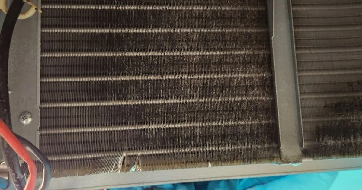 합리적인 가격으로 진행해주시고 친절하시구 시간도 잘지켜주시구 에어컨도 깨끗해졌어요 남은 두대의 에어컨 할때도 연락드릴게요