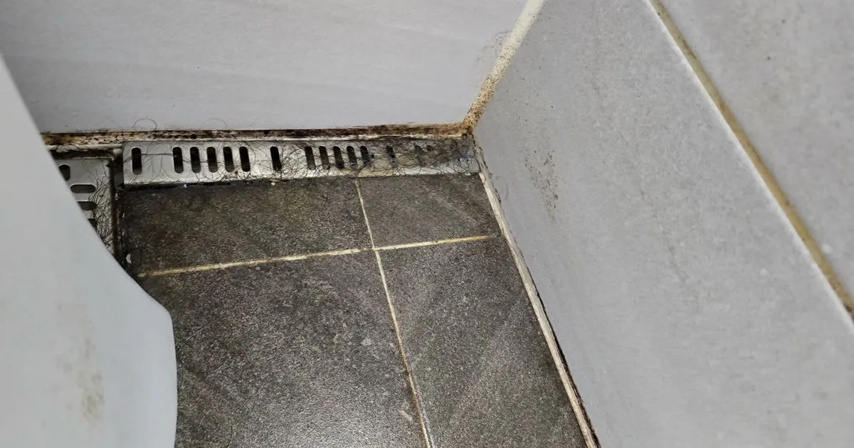 꼼꼼하게 청소 해주시고 원하는 부분까지 싹 해주세요 전등은 요청 안했는데도 전등까지 청소해주시고 너무 감사했습니다 숨고 숨은고수