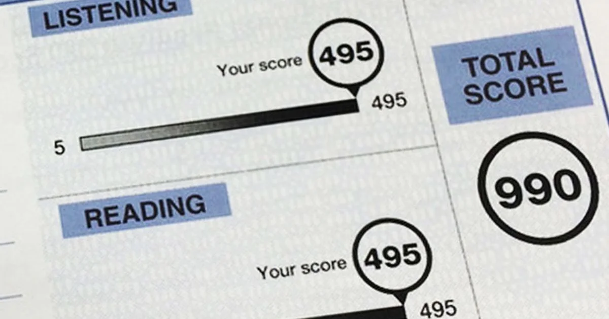 세종 세종 지역 TOEIC/speaking/writing 과외 추천고수 - 숨고, 숨은고수