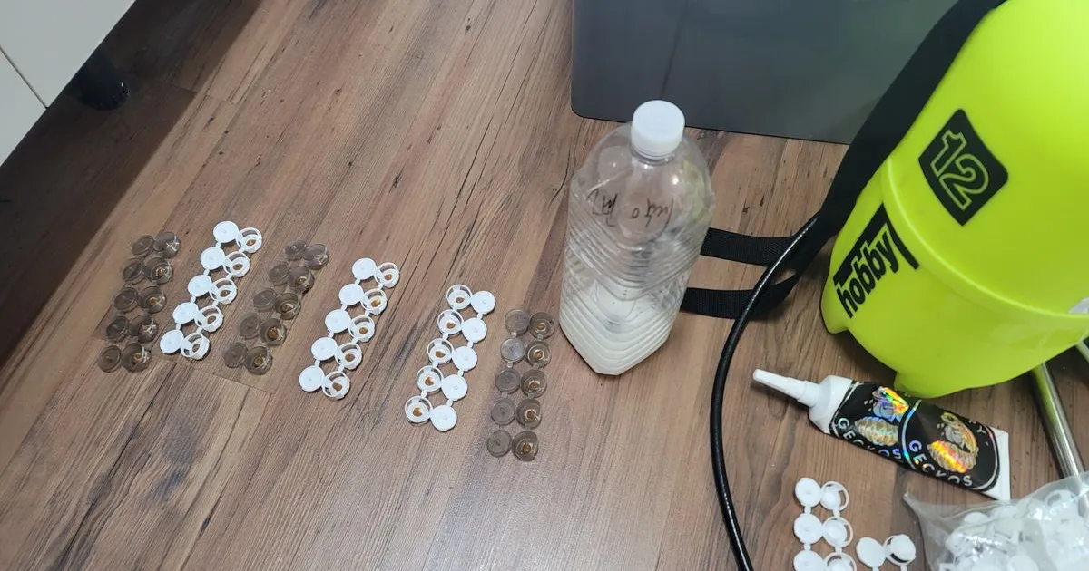 집에서 바퀴벌레를 없애는 가장 쉬운 방법 숨고 숨은고수