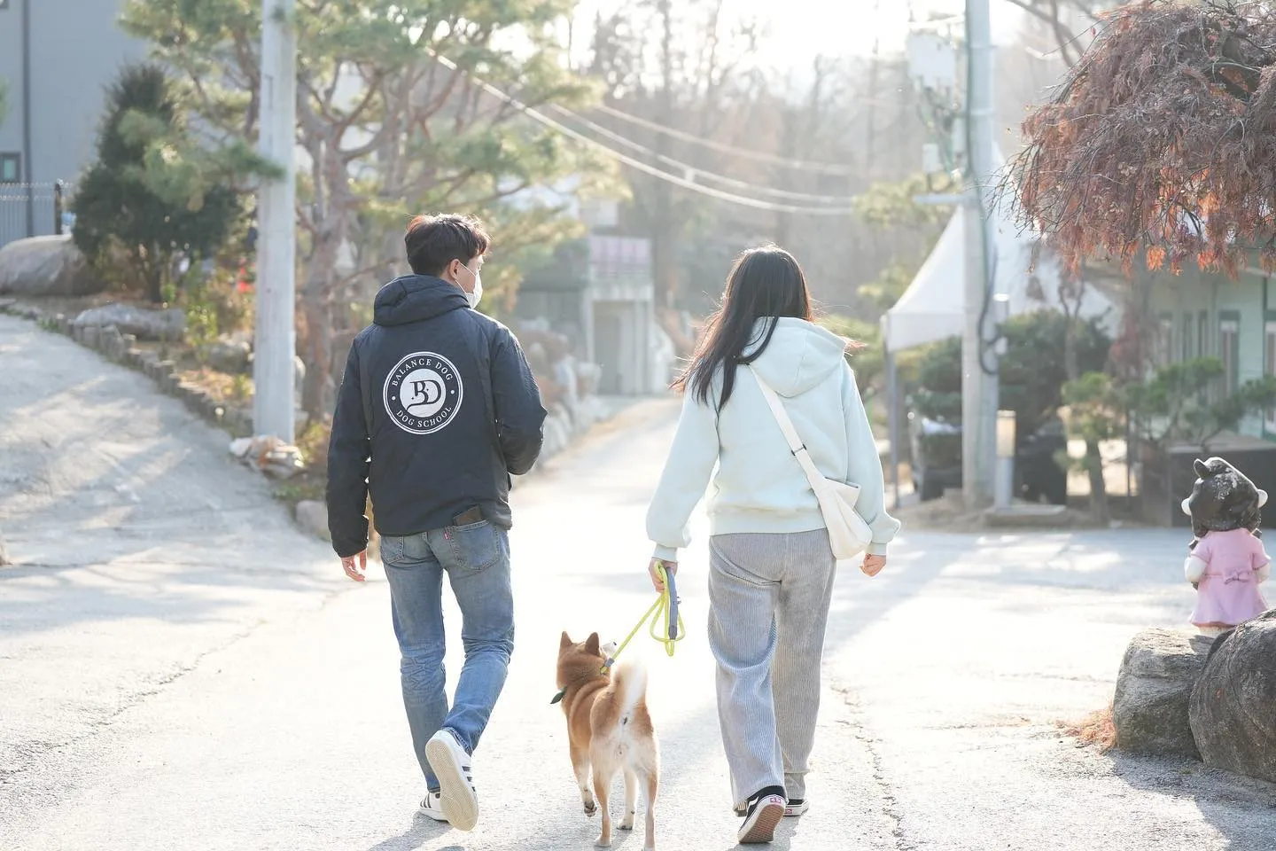 더 나은 삶을 위한 반려견 교육 숨고 숨은고수