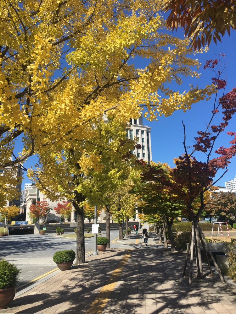 Luong thu uyen 고수의 베트남어 통역 서비스, 서울 동대문구 - 숨고, 숨은고수